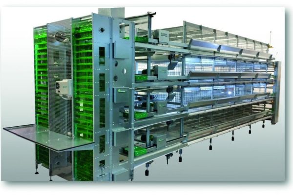 Layer Cage - Fienhage (en)